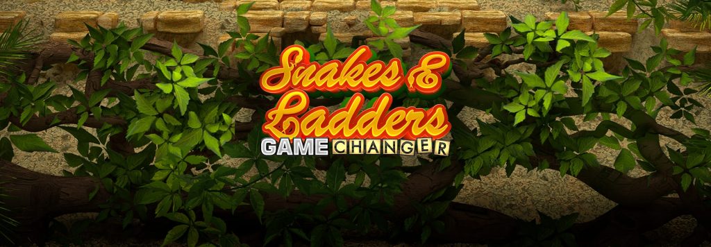 Snakes & Ladders Game Changer – Realistic Games